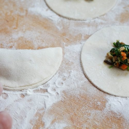 gluten free potstickers recipe-Japanese, Korean and Chinese versions